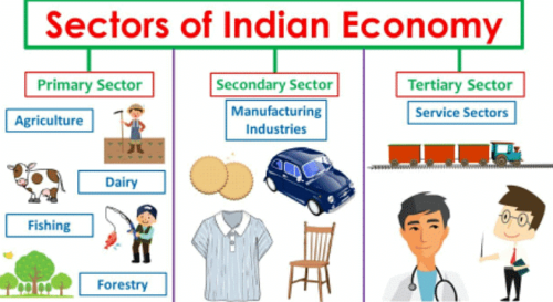 Chapter 14 Economic Activities Around Us Notes & Summary ...