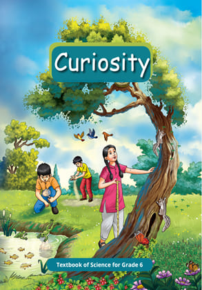 NCERT Class 6 Science Curiosity Text Book pdf download – textbooksolutions